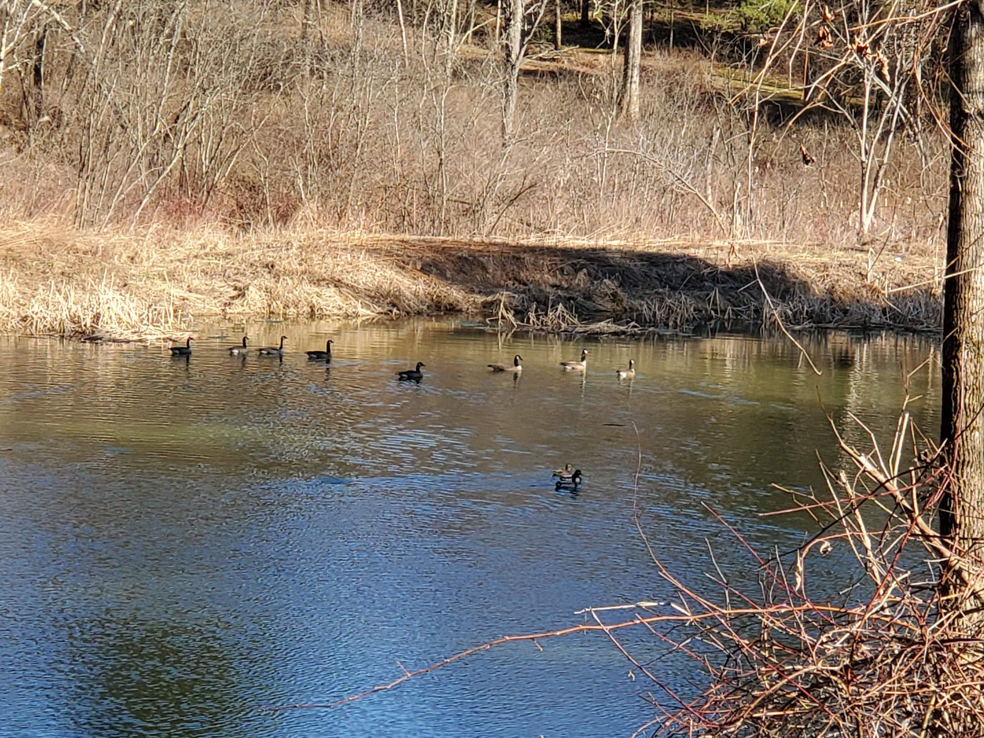 Photo Gallery - Coldbrook RV Park